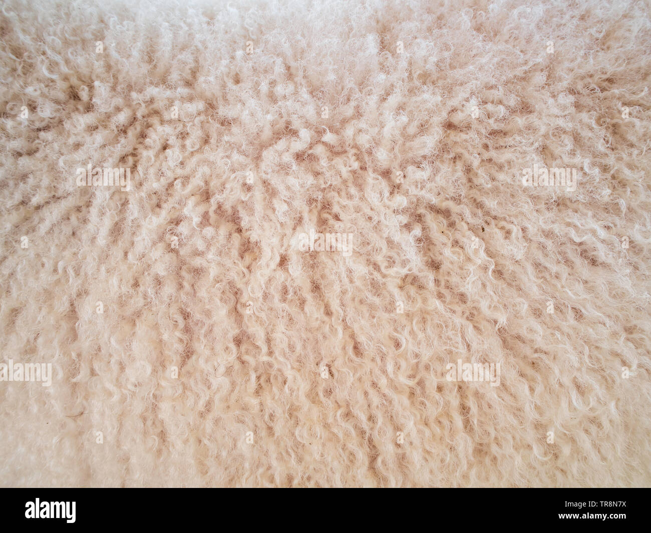 Fluff effect hi-res stock photography and images - Alamy