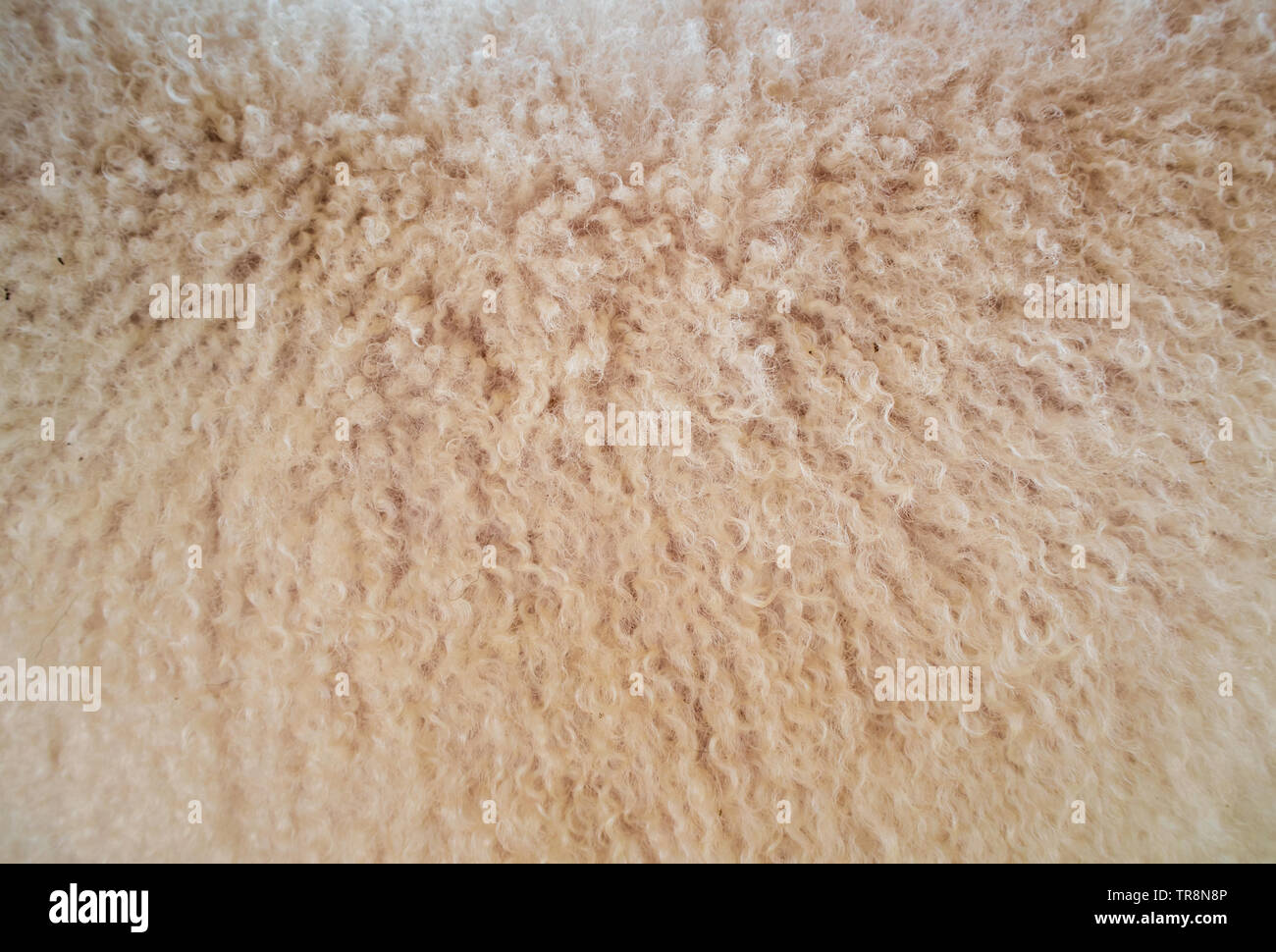 Fluff effect hi-res stock photography and images - Alamy