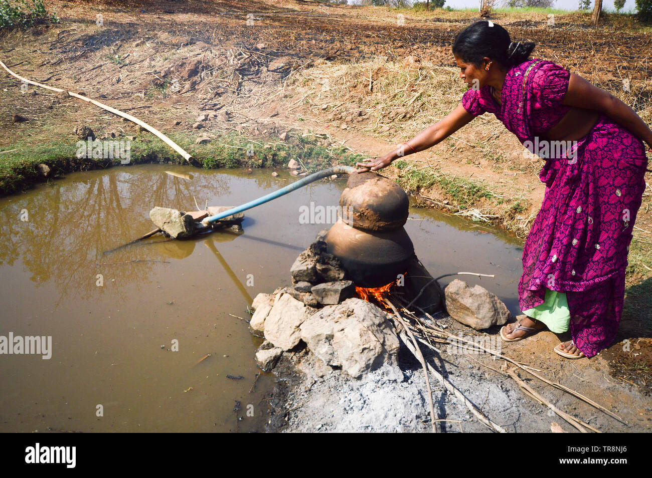 Mahua Flower Alcohol