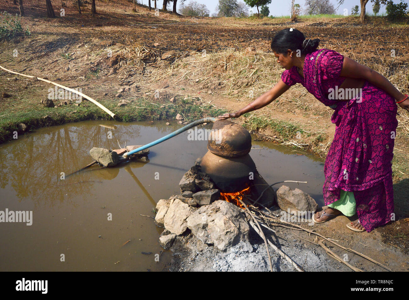 Extracting mahua wine hi-res stock photography and images - Alamy