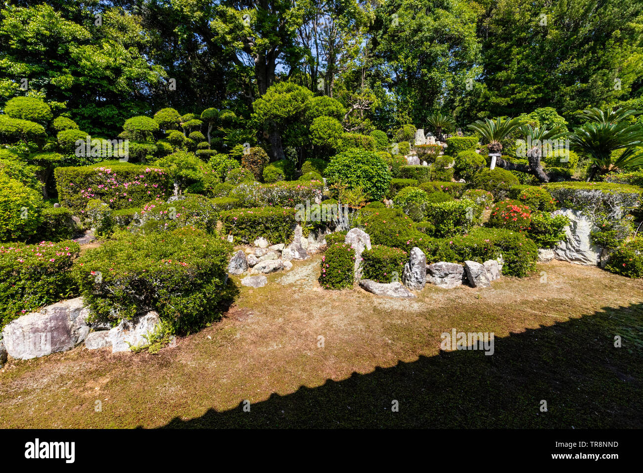 Ioji hi-res stock photography and images - Alamy