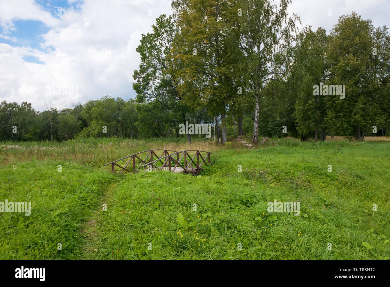 Old bridge over the overgrown stream Stock Photo - Alamy