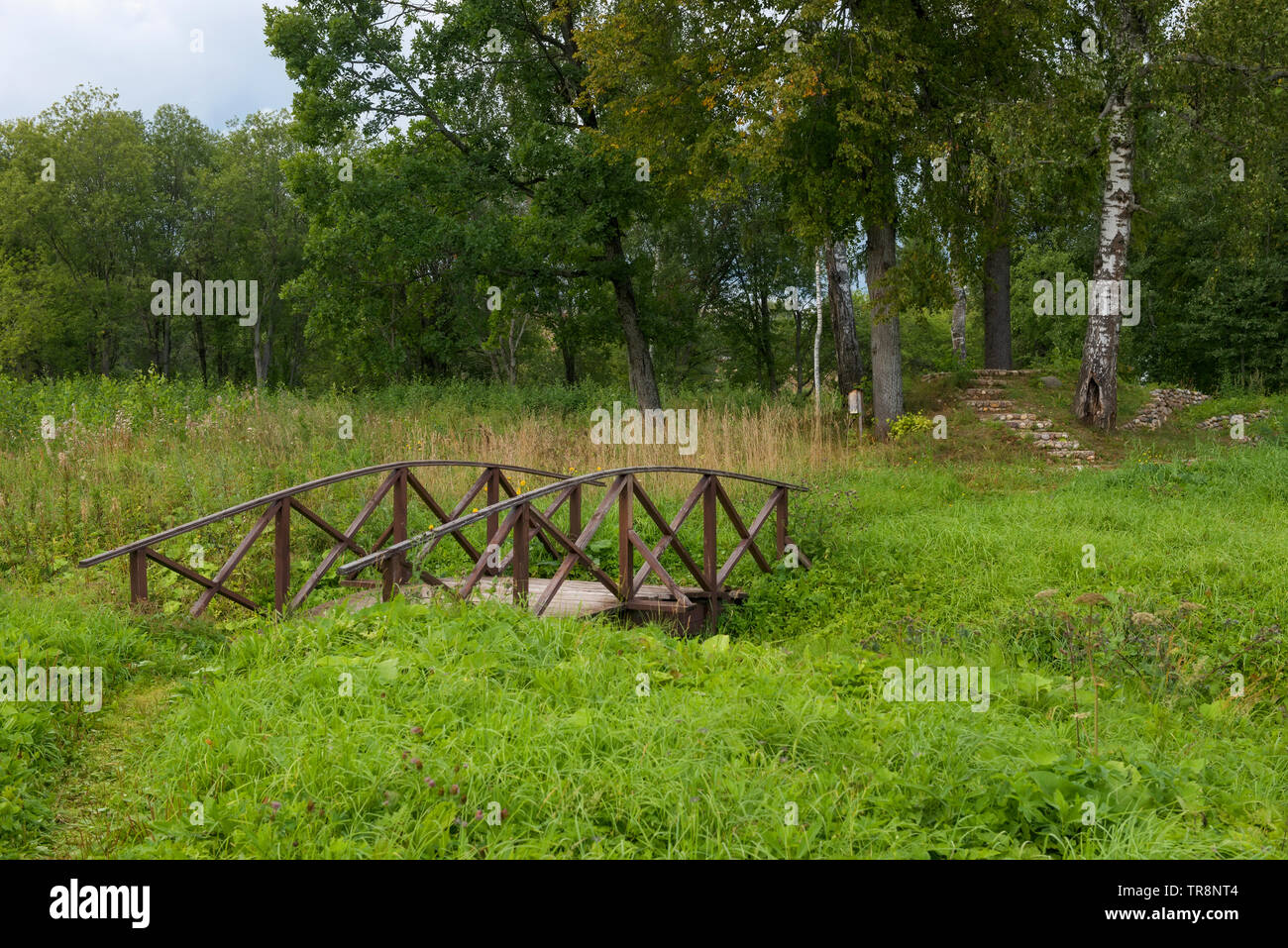 Old bridge over the overgrown stream Stock Photo - Alamy