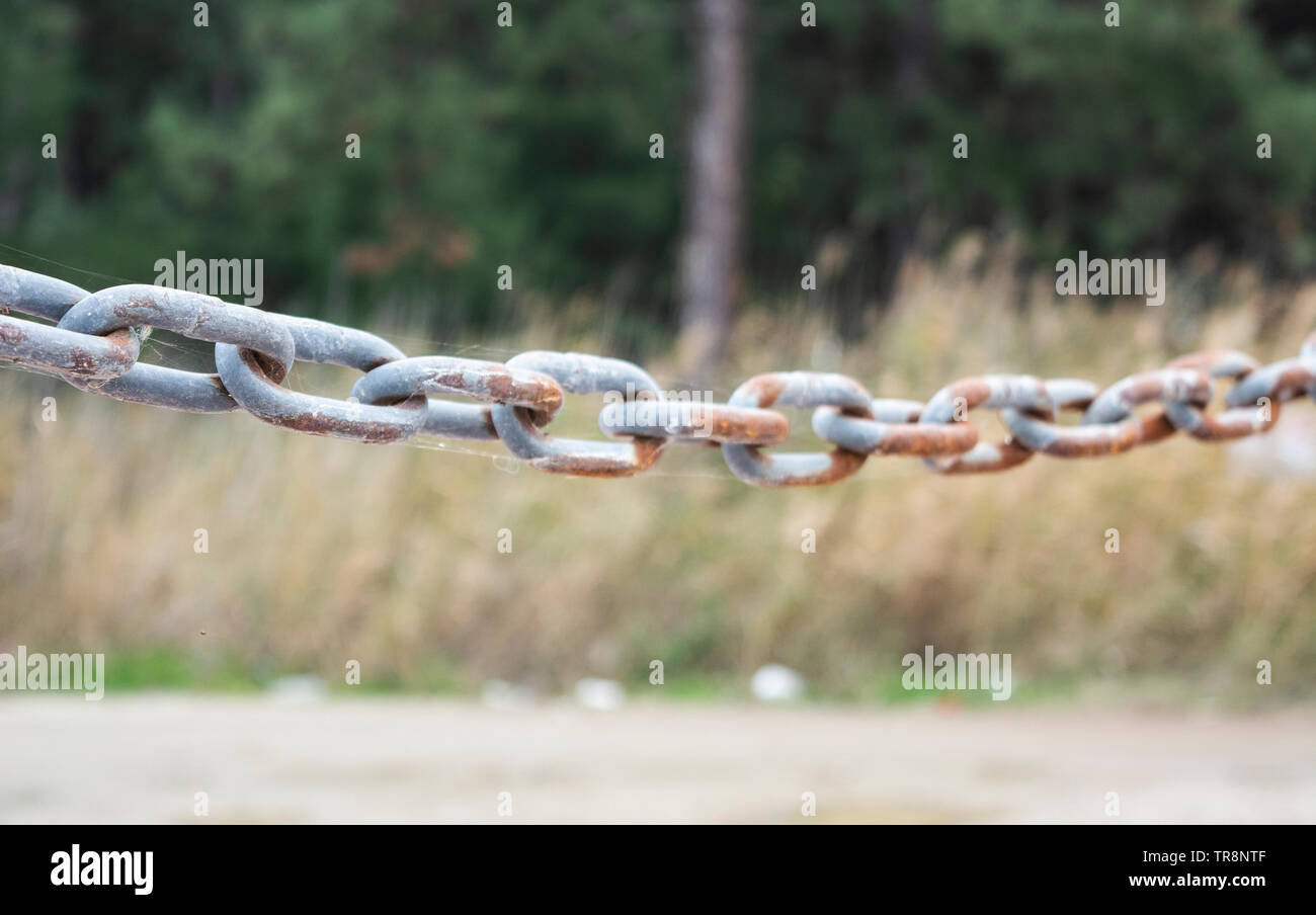 chain in the forest Stock Photo - Alamy