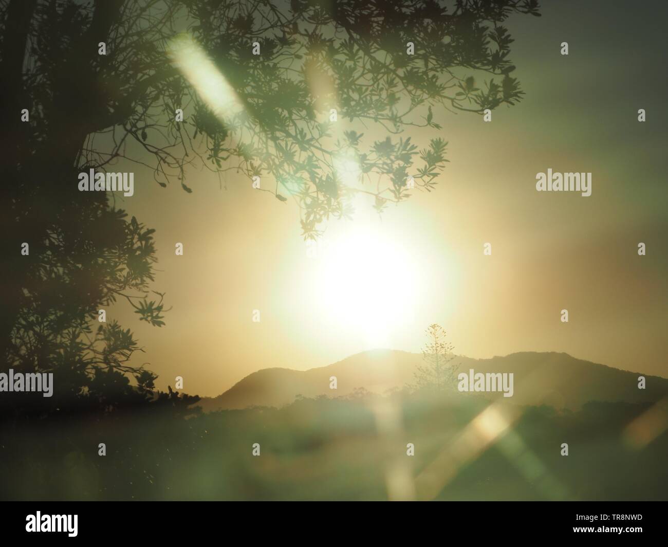 Streaks of golden sunlight emanating from this pale orange yellow ...