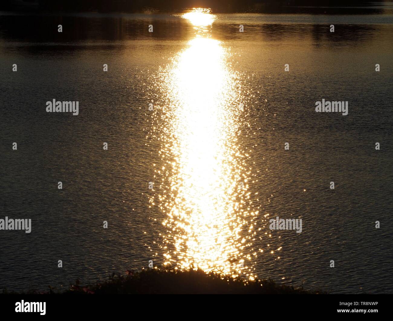 Sunset, Setting sun shimmering it's golden path across the river Stock ...