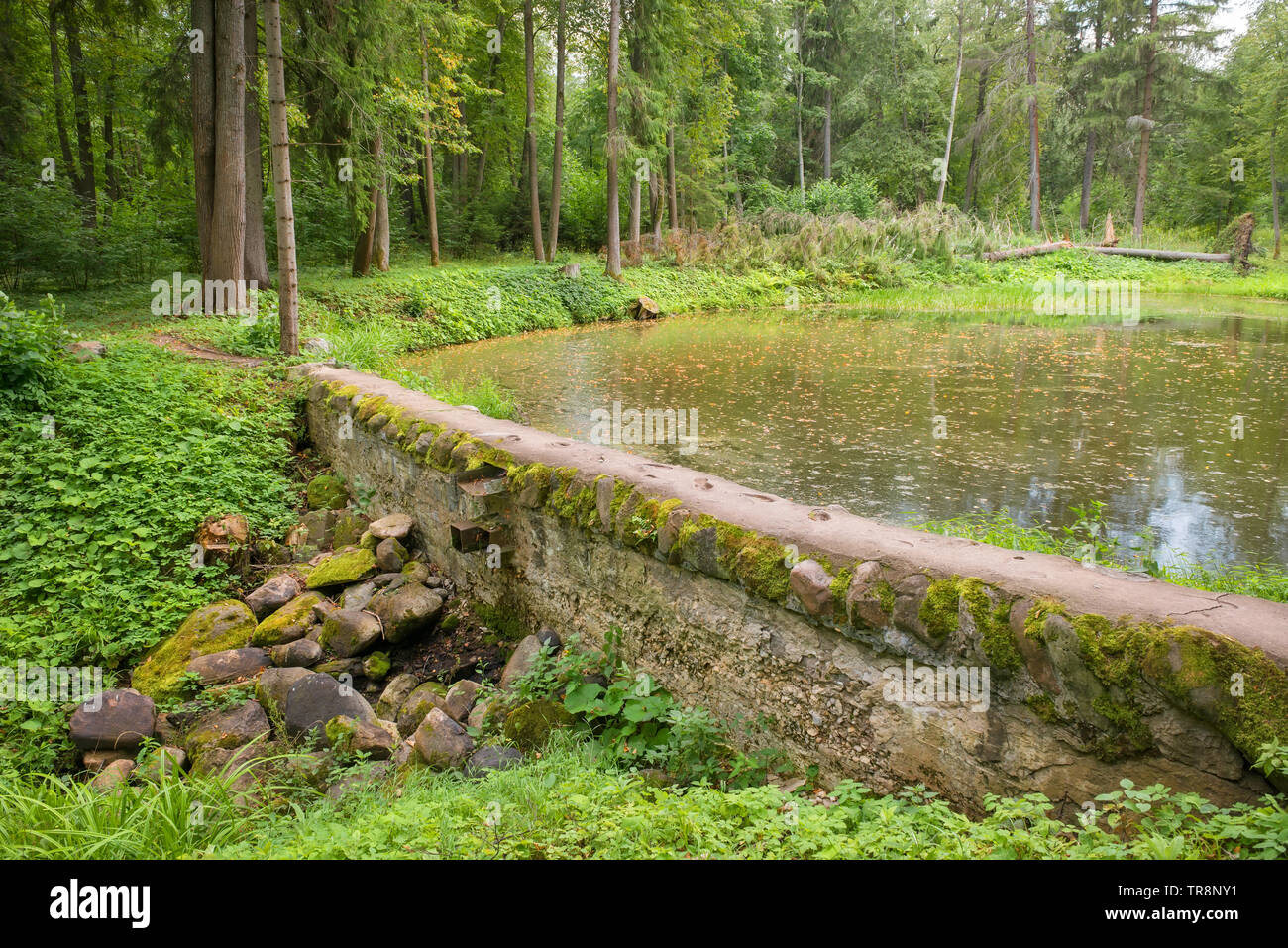Forest man-made lake formed after the construction of the dam Stock ...