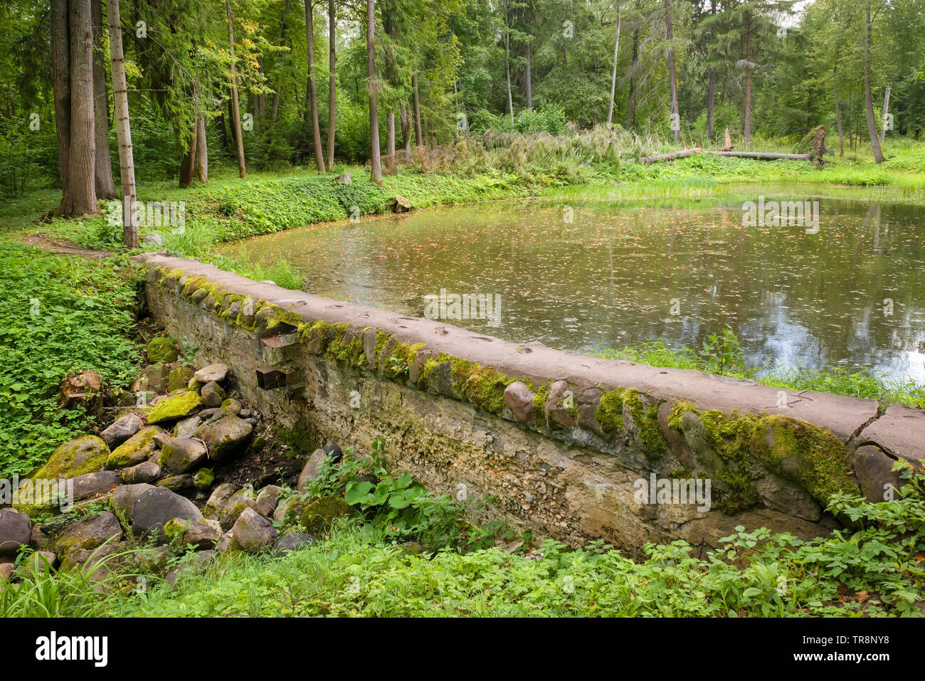 Forest man-made lake formed after the construction of the dam Stock ...
