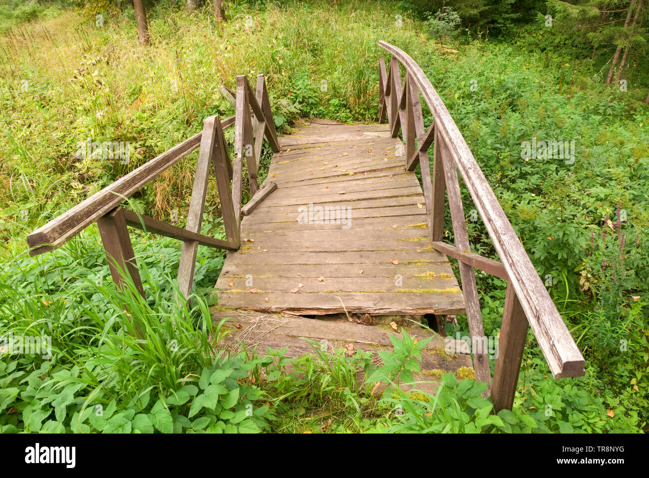Old collapsing bridge over the overgrown stream Stock Photo - Alamy