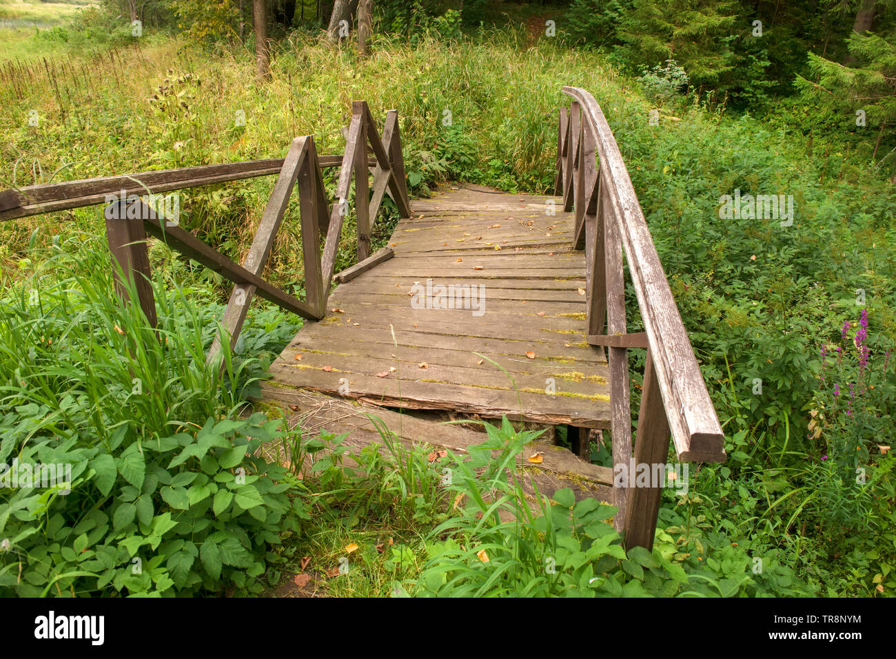 Old collapsing bridge over the overgrown stream Stock Photo - Alamy