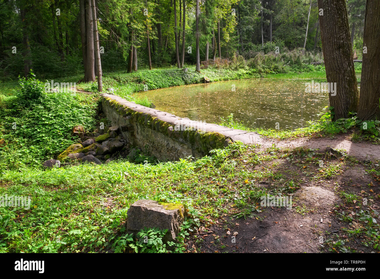 Forest man-made lake formed after the construction of the dam Stock ...