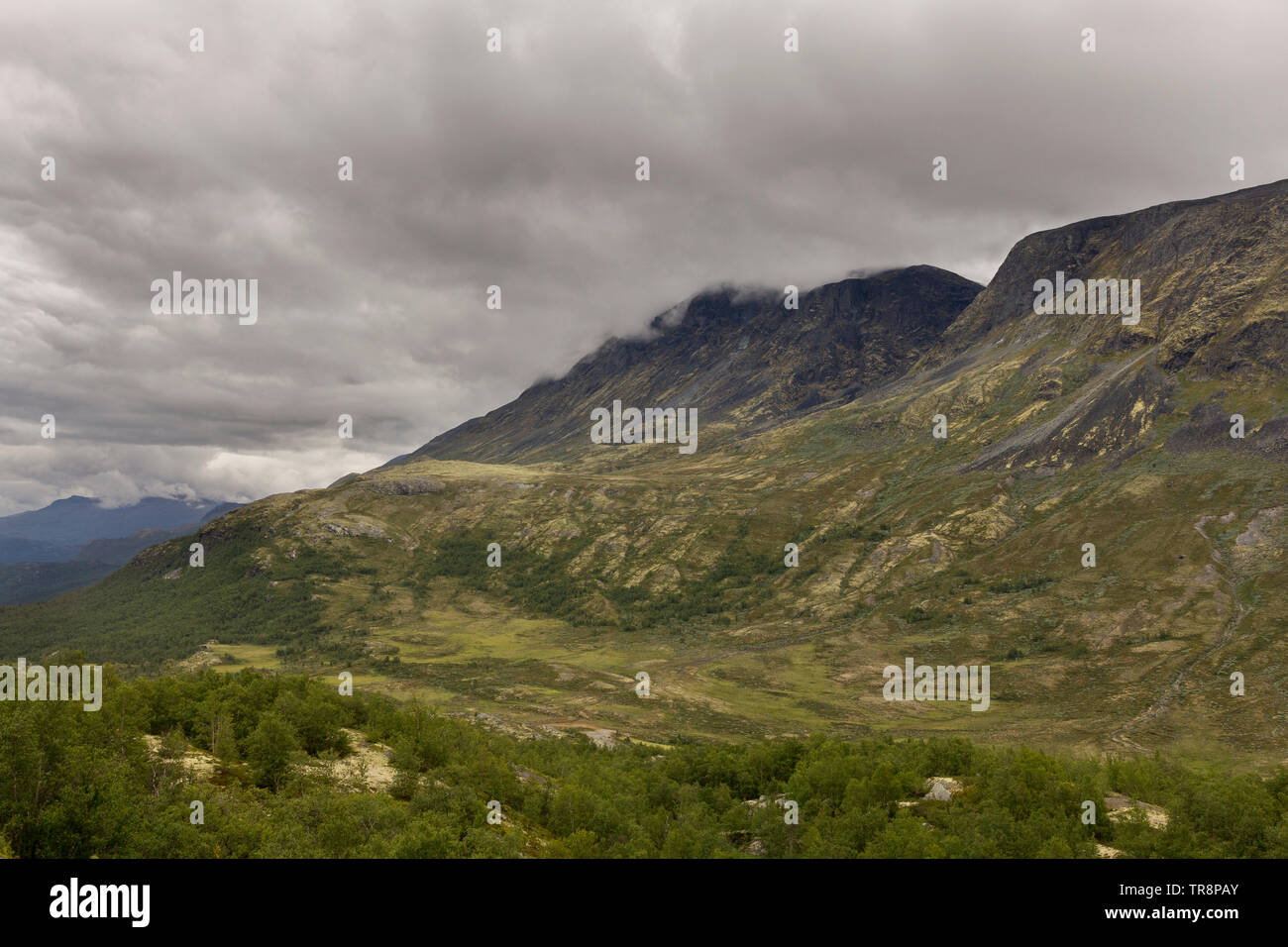 Route 55 hi-res stock photography and images - Alamy