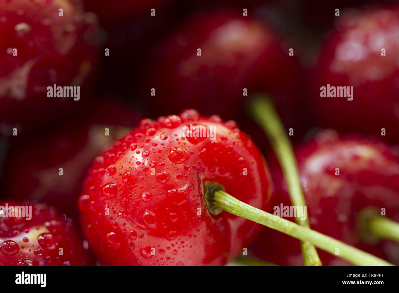 Water drop cherry hi-res stock photography and images - Alamy