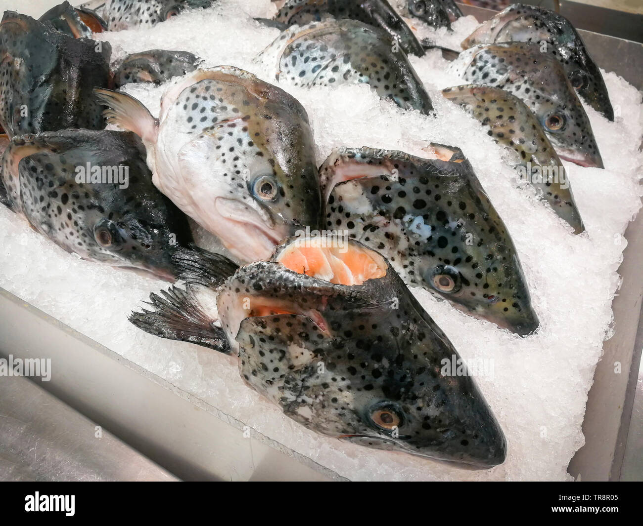 Salmon head hi-res stock photography and images - Alamy