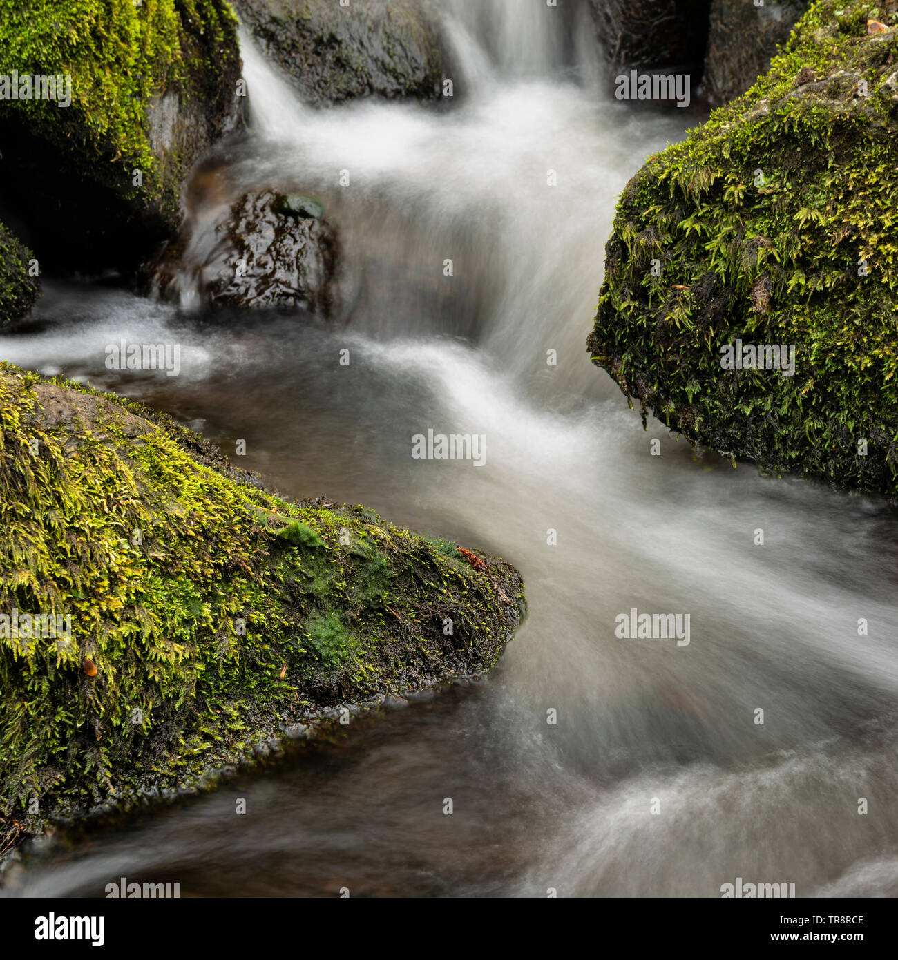 Beautiful Spring landscape image of River Teign flowing through lush ...