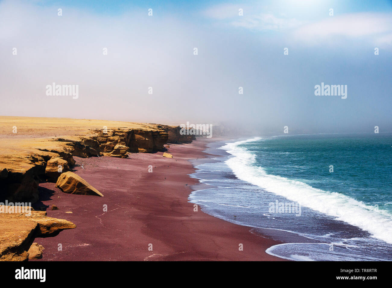 Paracas national park hi-res stock photography and images - Alamy
