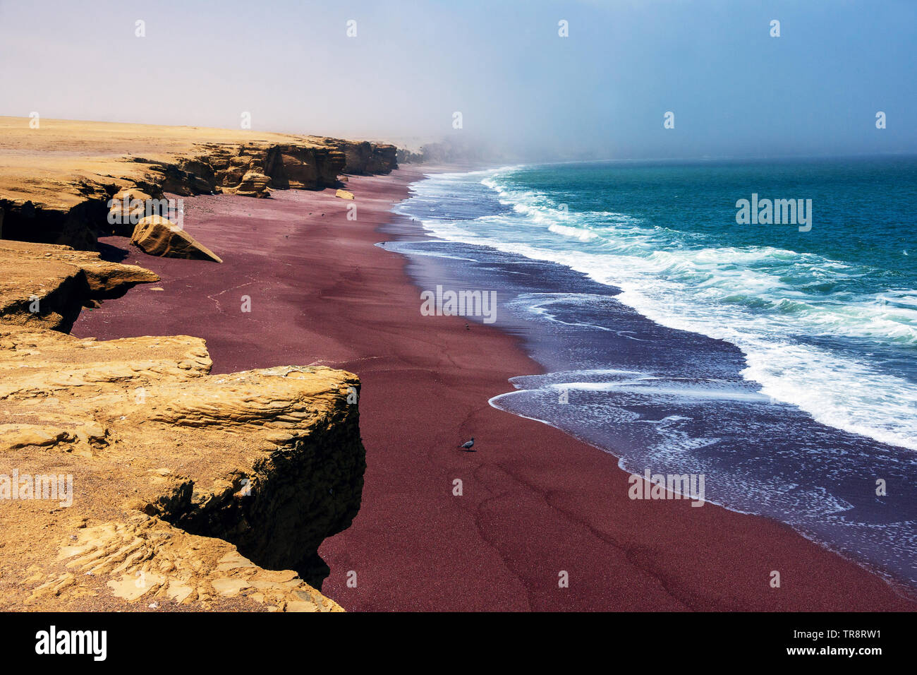 Paracas national park hi-res stock photography and images - Alamy