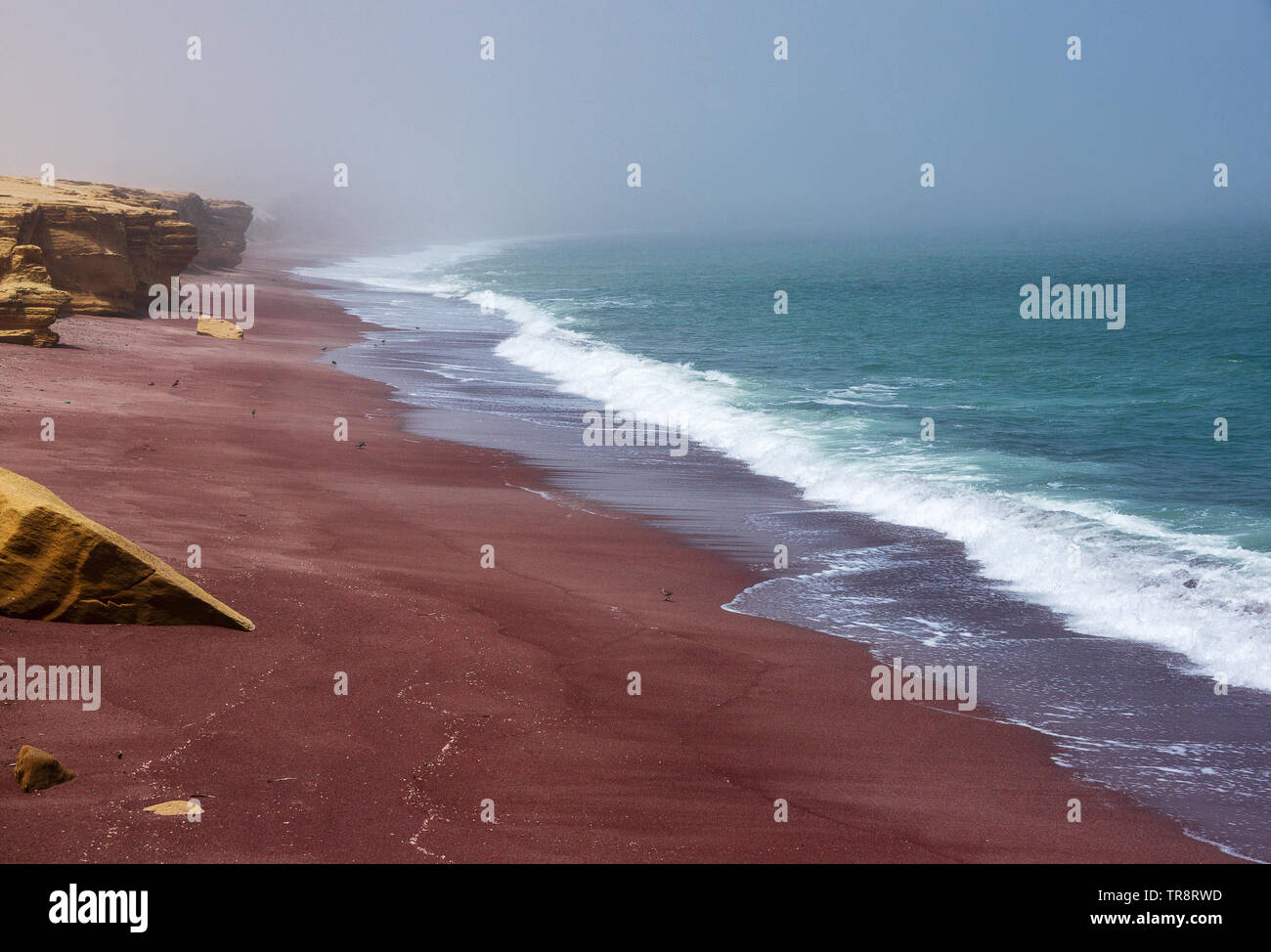 Awesome landscape of coastline of Pacific ocean in Paracas national ...