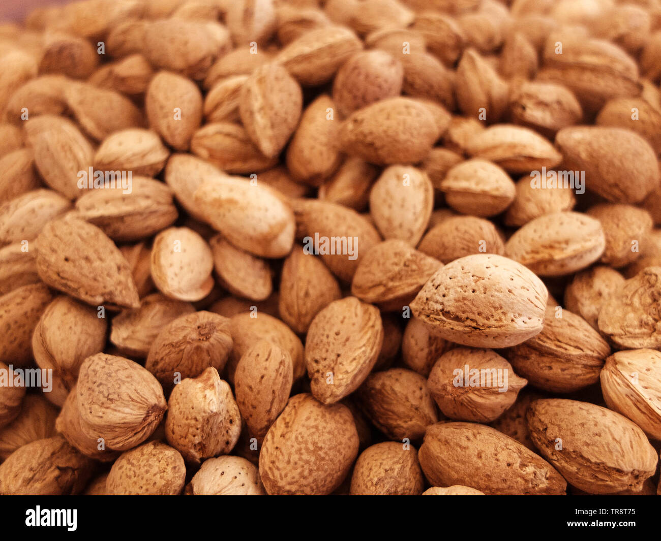 Almond kernels in the shell at the counter of the country market Stock ...
