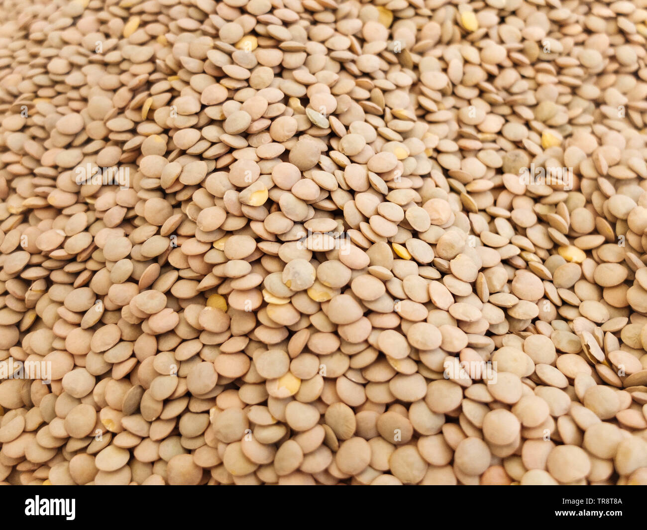 Lentil seed at the country market counter Stock Photo - Alamy