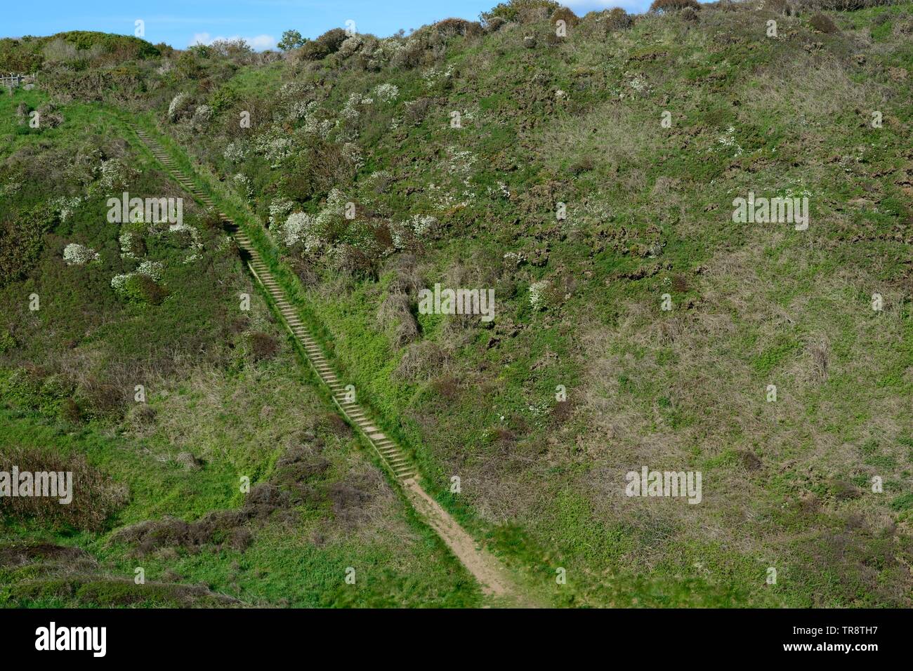 Steep steps down to Lydstep Caverns Pembrokeshire Coast Path Manorbier ...