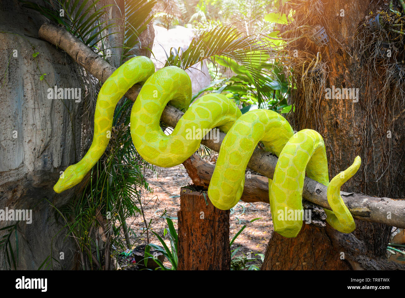Emerald tree boa on branch hi-res stock photography and images - Alamy