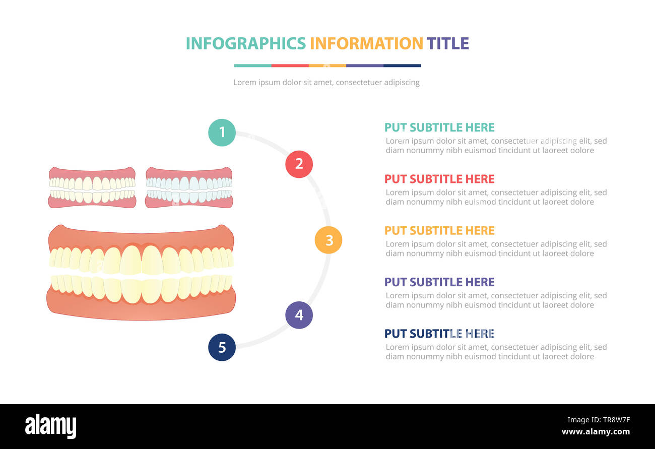 human tooth or teeth infographic template concept with five points list ...