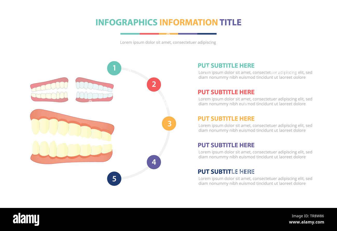 human teeth tooth structure infographic template concept with five ...