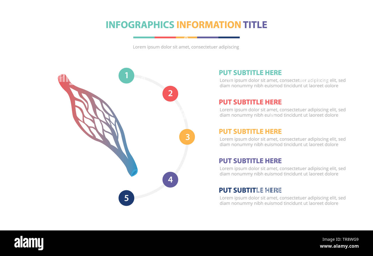 human capillary infographic template concept with five points list and ...