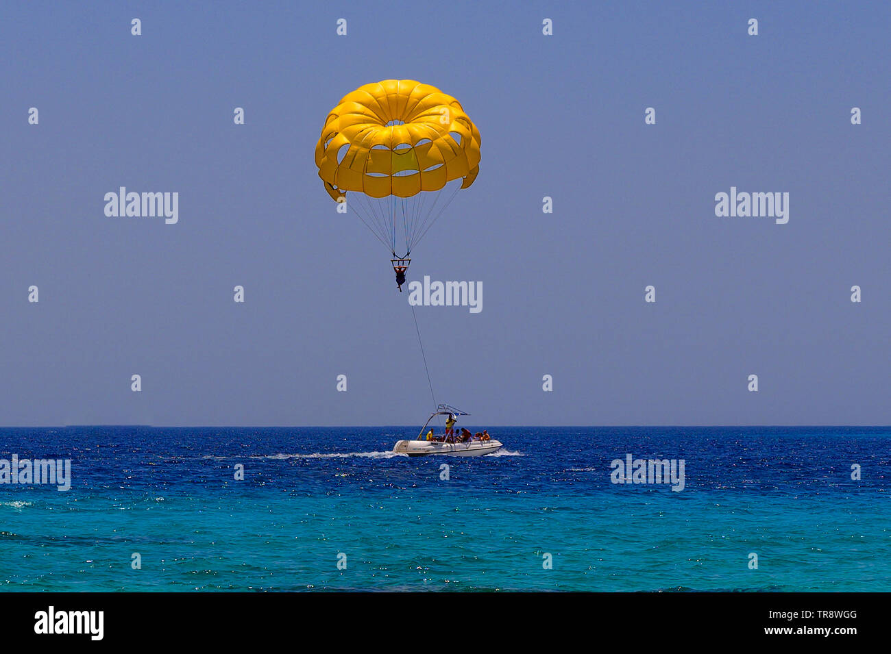 Skydiver flying with a yellow parachute by speed boat on sea. Skydiver ...