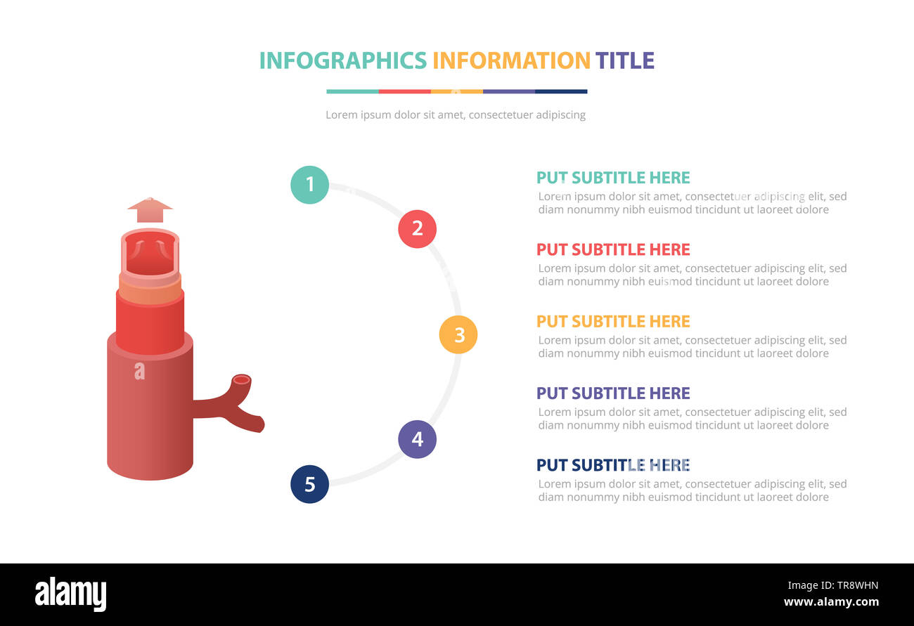 human vein infographic template concept with five points list and ...