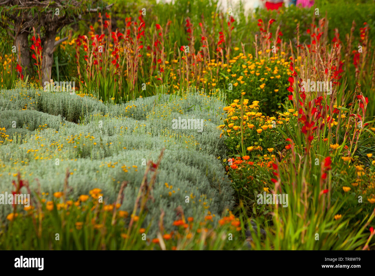 Rooftop garden south america hi-res stock photography and images - Alamy