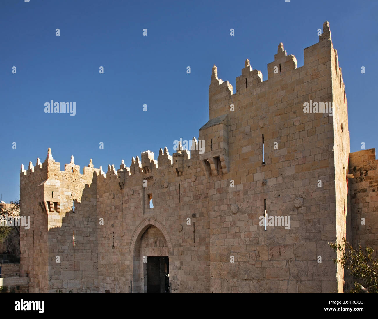Citadel of damascus hi-res stock photography and images - Alamy