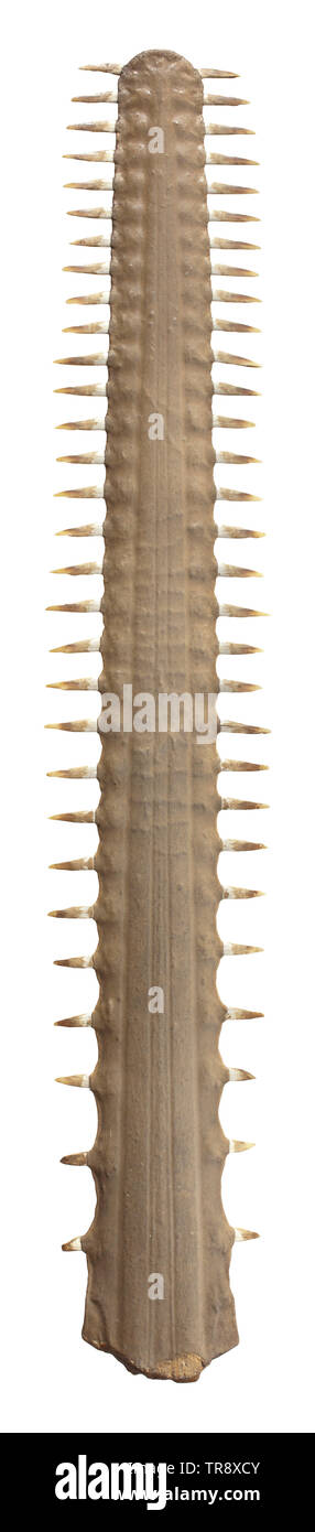 20th century unusually hi-res stock photography and images - Alamy