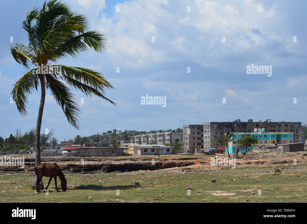 Derelict buildings and apartment blocks in Gibara, Southern Cuba Stock ...