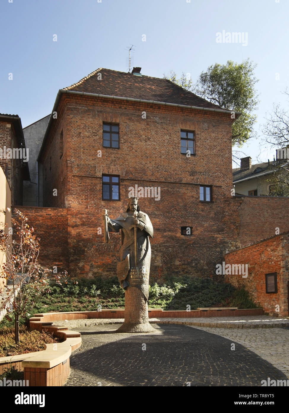 Monument to King Wladyslaw in Tarnow. Poland Stock Photo - Alamy