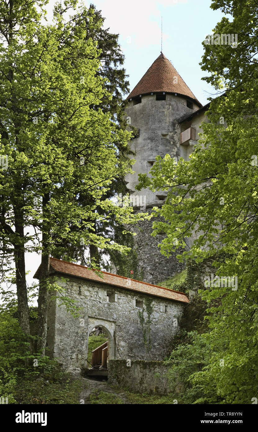 Bled Castle (Blejski grad) in Bled. Slovenia Stock Photo - Alamy