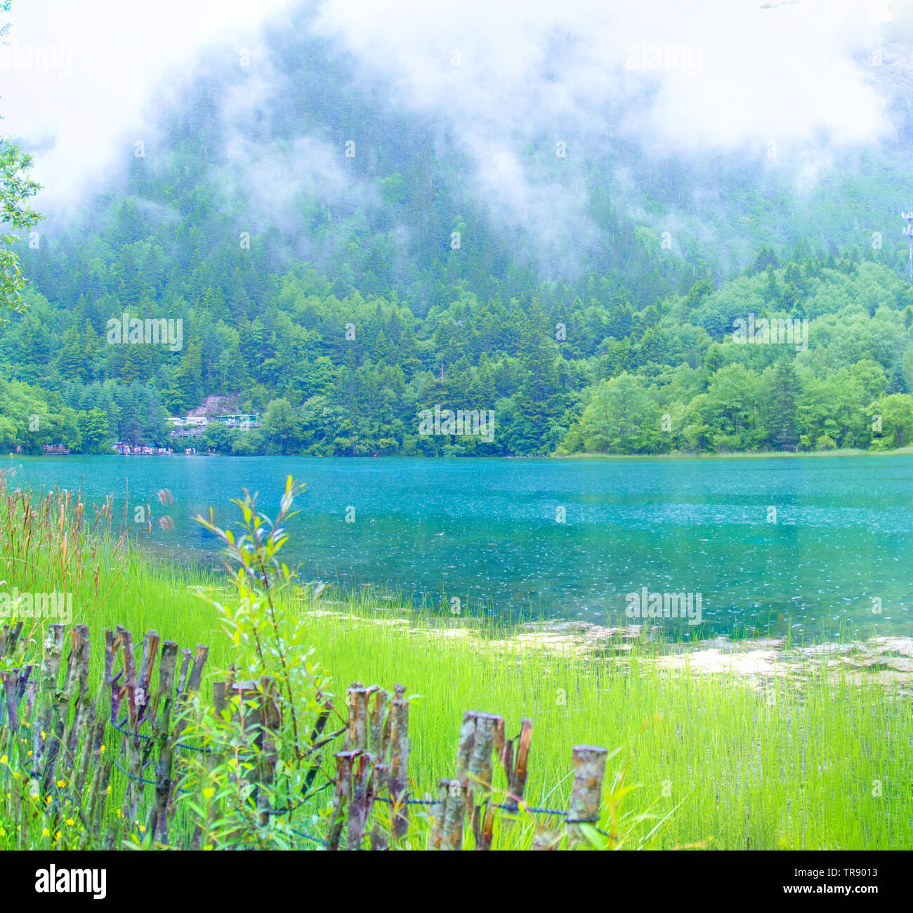 The peaks and lakes of jiuzhaigou, China -- summer 2017: peaks within ...