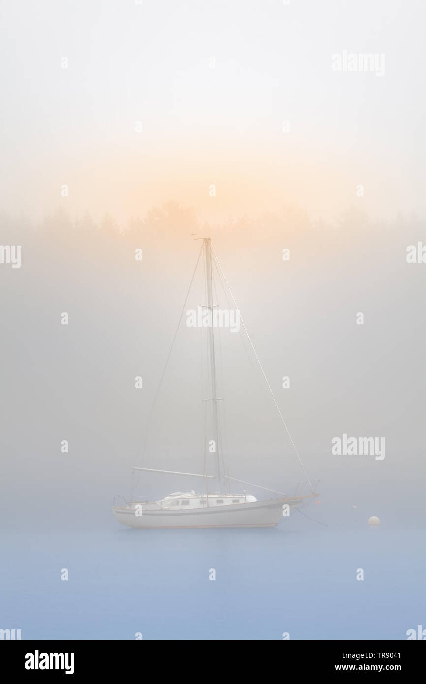 Bermuda cutter hi-res stock photography and images - Alamy