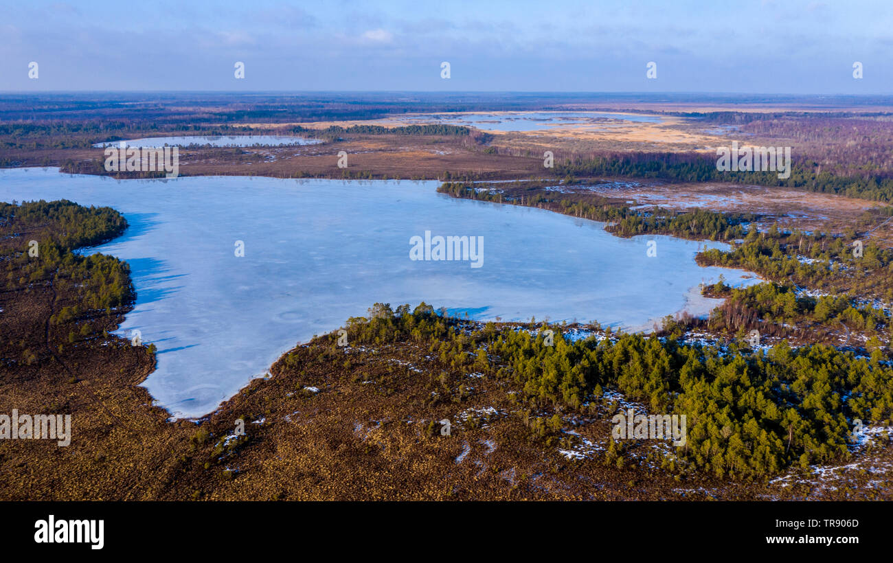 Frozen lake in Estonian bog Stock Photo - Alamy