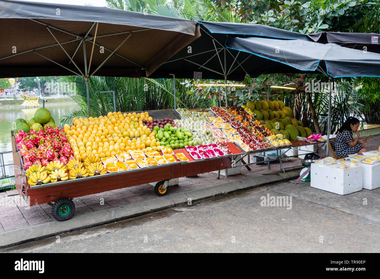 Hoi An Fruit Stall Stock Photo - Alamy