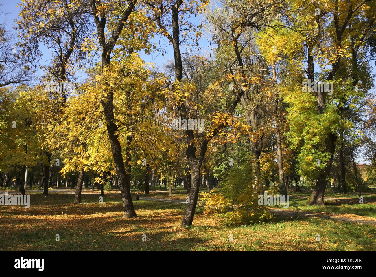 Park in Bitola. Macedonia Stock Photo - Alamy