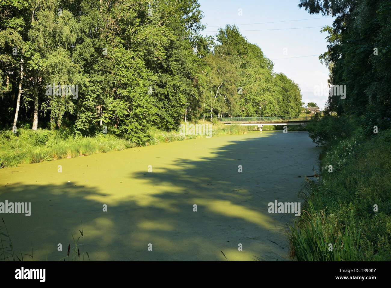 Old ladoga hi-res stock photography and images - Alamy