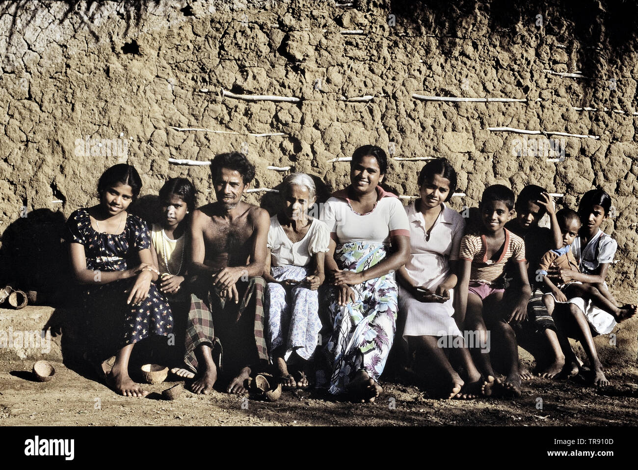 Multi generation family group, Sri Lanka, South Asia Stock Photo - Alamy