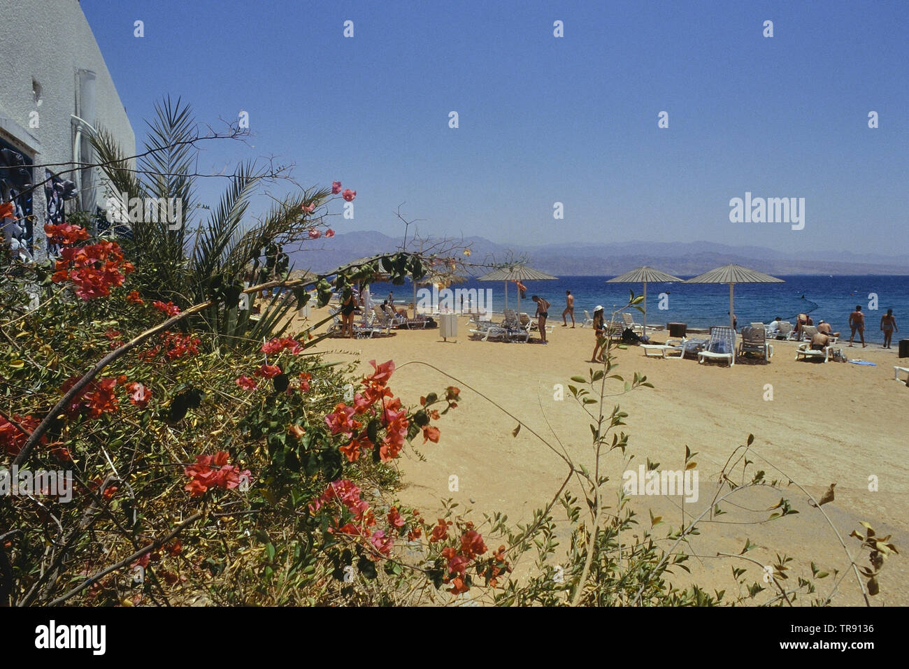 Eilat attractions hi-res stock photography and images - Alamy