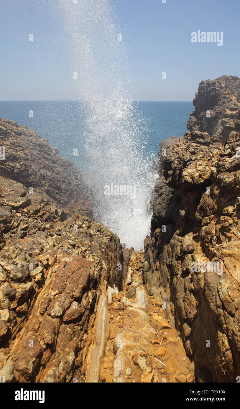 Hummanaya hi-res stock photography and images - Alamy