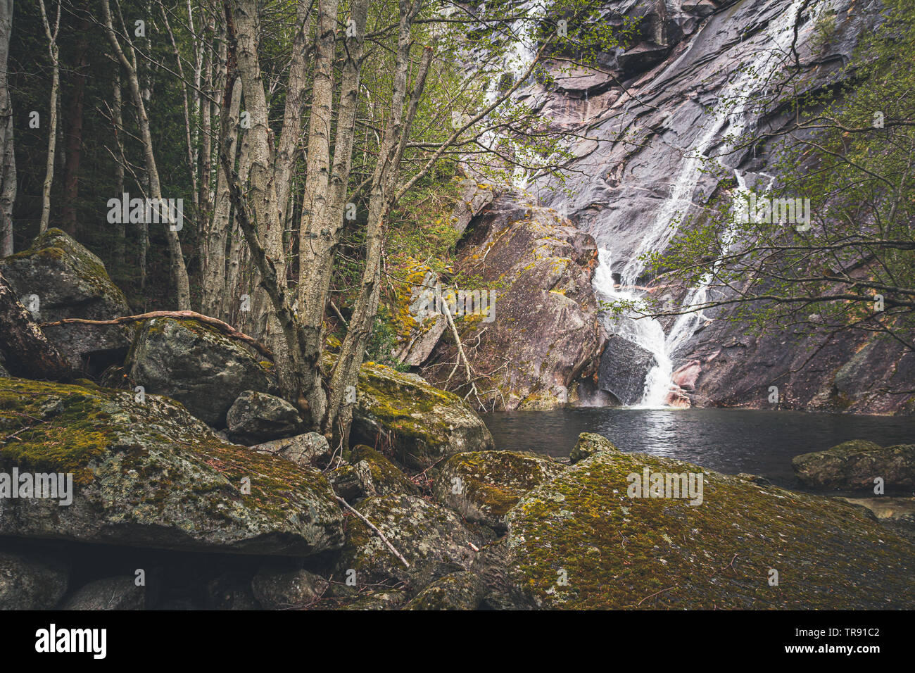 Small mountain stream in the forest. Norwegian nature in springtime ...