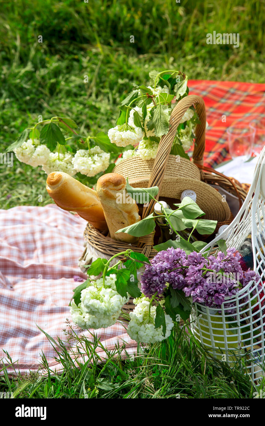 Beautiful picnic on nature and green grass with a red checkered ...