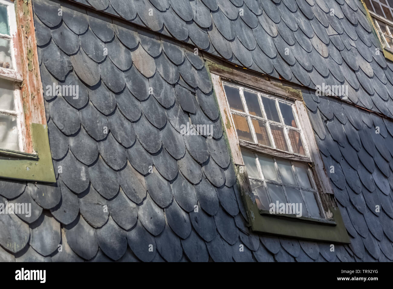 View of wall lined with slate-shaped fish scales, from a ruined ...