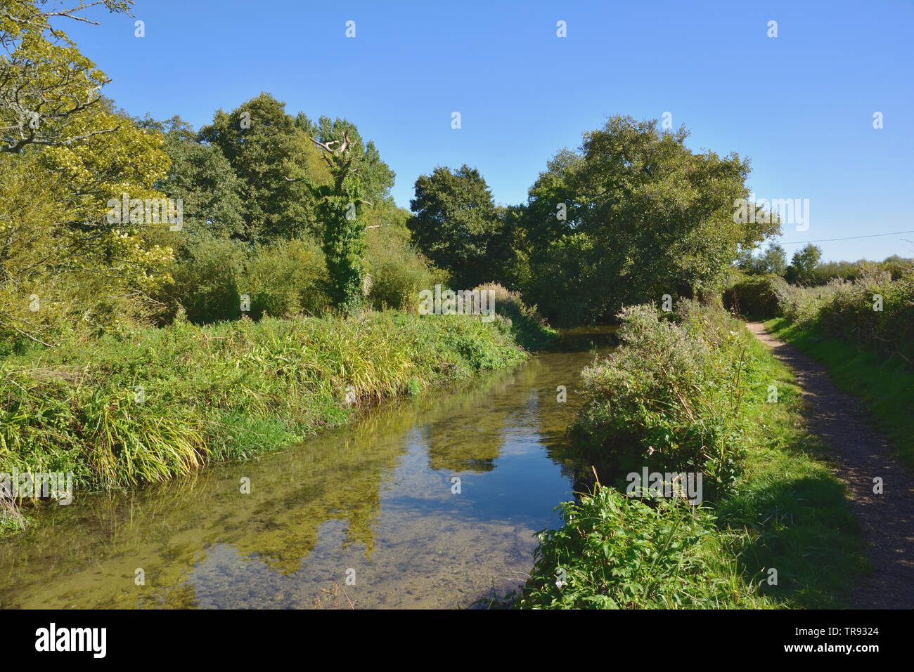 River Frome near Lower Bockhampton, Dorset Stock Photo - Alamy